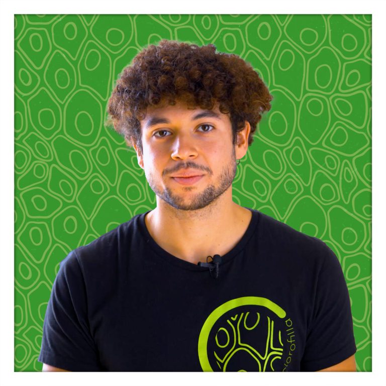 Chi siamo - Palestra Clorofilla Palestra Rimini